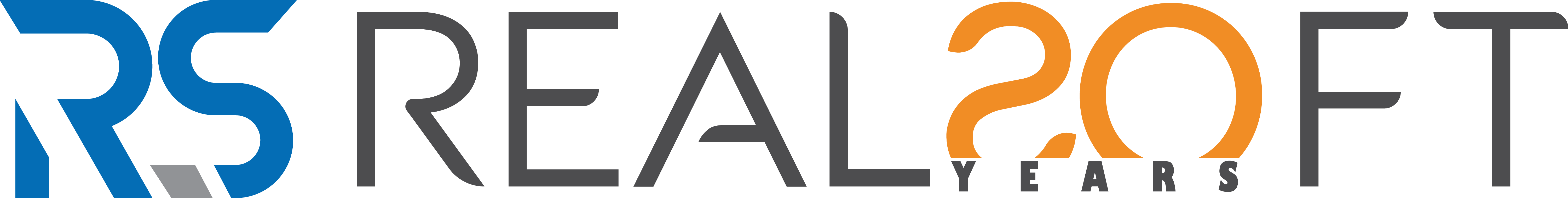 Realsoft – Makes Business Sense